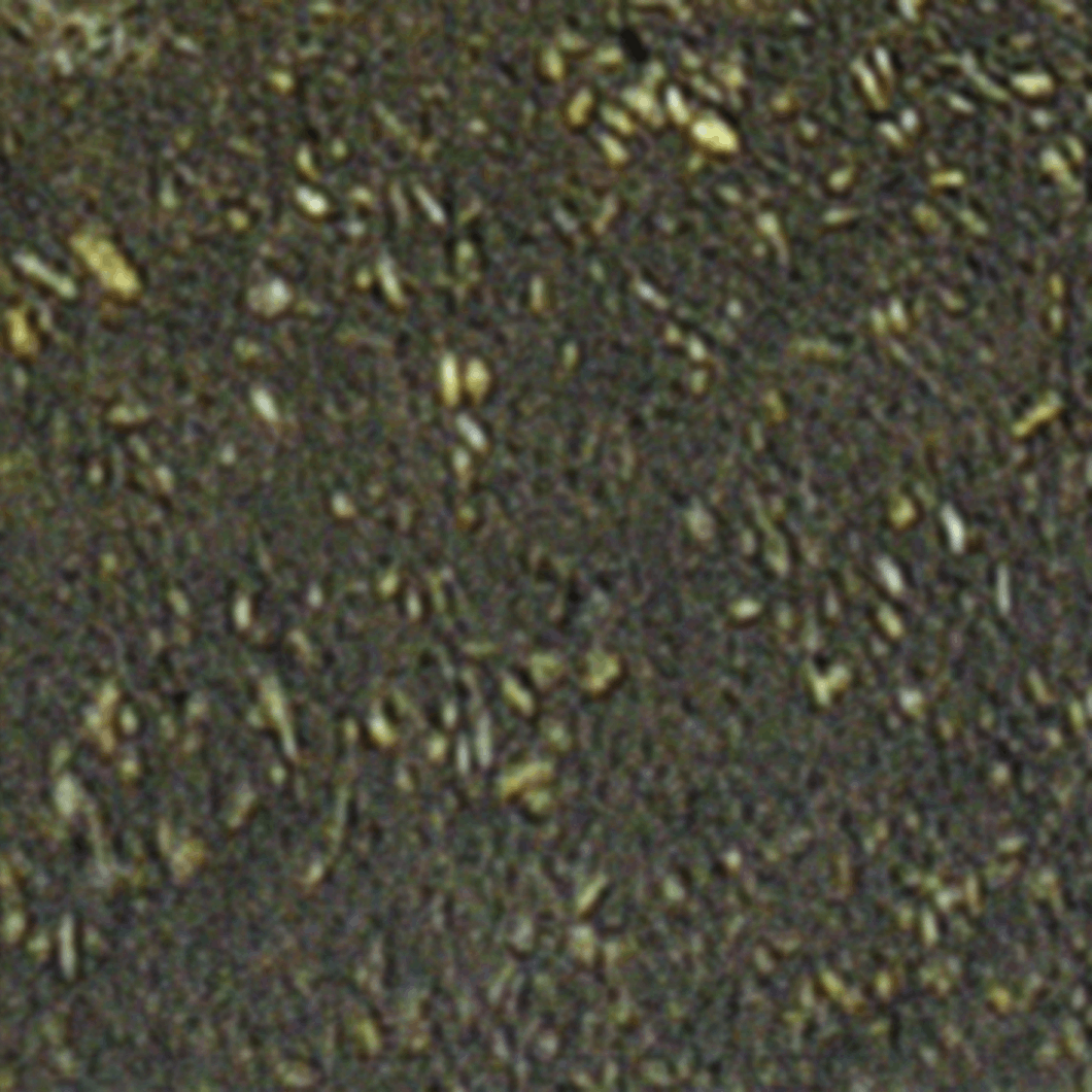 SupaSorb | Activated Carbon Filters | Amazon Filters